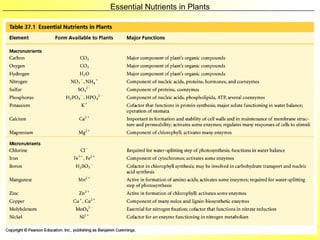 Plant Nutrition and Nutrition Deficiency | PDF