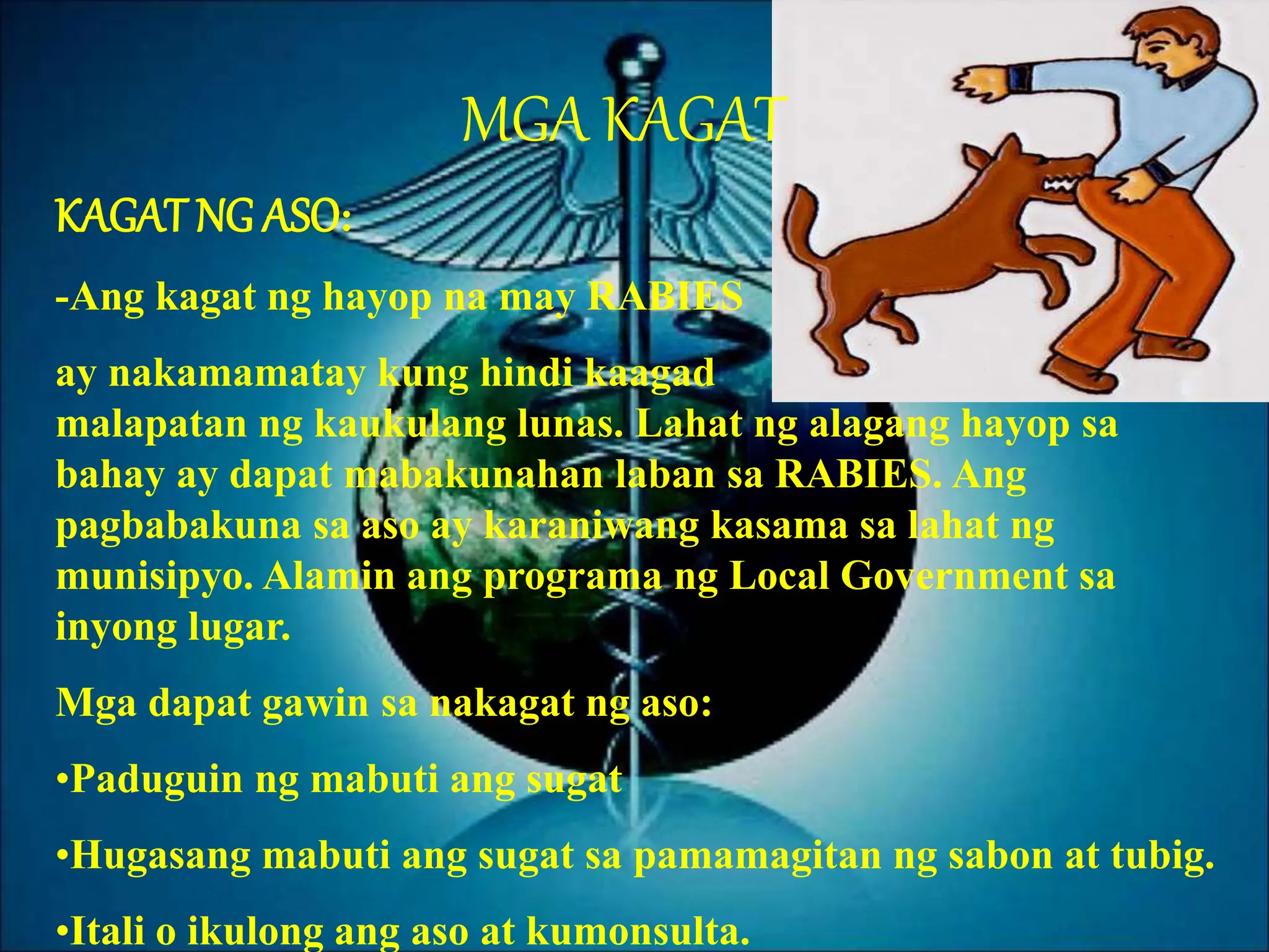 3 FINAL FIRST AID 101.ppt