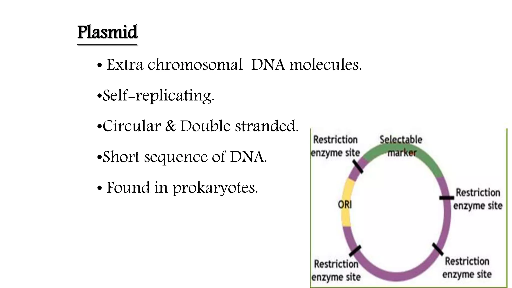 cloning and expression vector in plants | PPTX