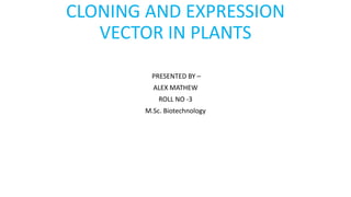 cloning and expression vector in plants | PPTX