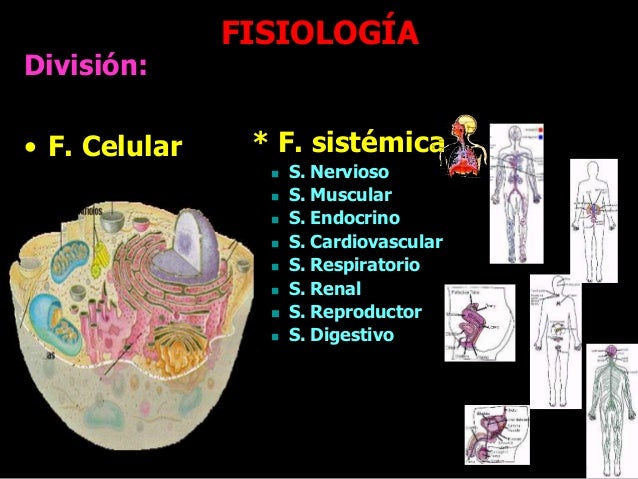 Fisiologia Definicion
