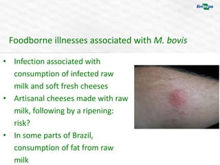 Diagnostic tools to detect pathogens causing tuberculosis in cattle and ...