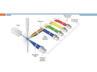 Flow cytometry is a lab test used to analyze characteristics of cells ...