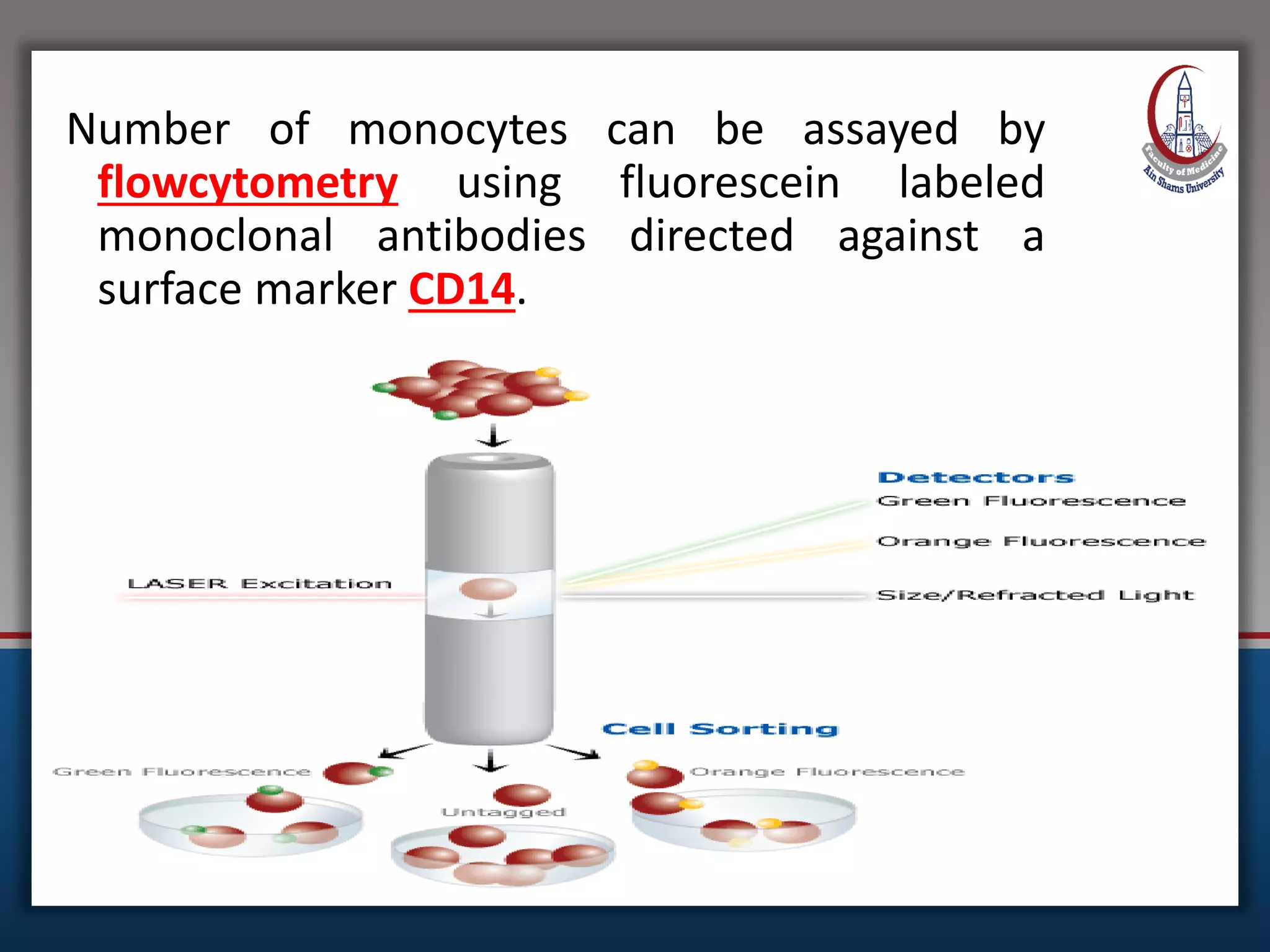 3_Flowcytometry_31روعة_Assessment_of_Immune_Functions_2021_2022.pdf