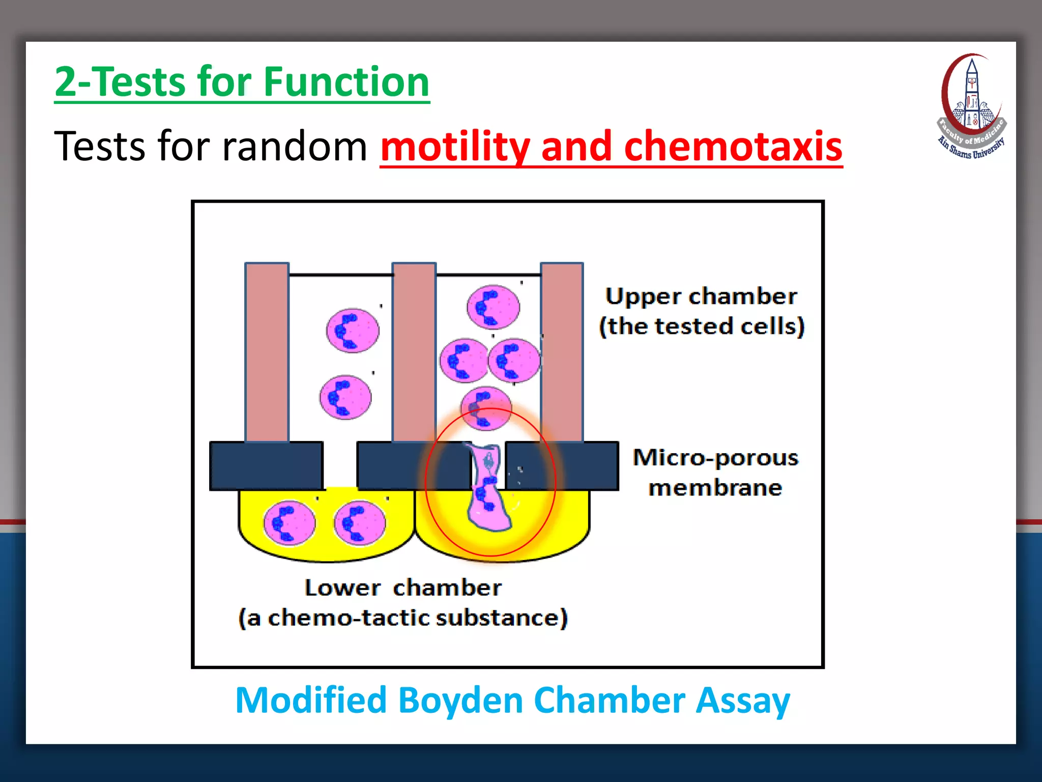 3_Flowcytometry_31روعة_Assessment_of_Immune_Functions_2021_2022.pdf