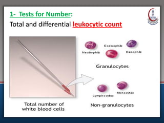 3_Flowcytometry_31روعة_Assessment_of_Immune_Functions_2021_2022.pdf