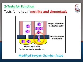 3_Flowcytometry_31روعة_Assessment_of_Immune_Functions_2021_2022.pdf