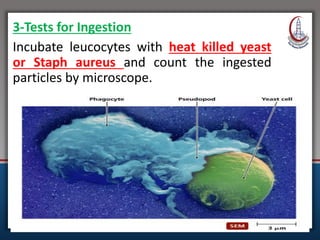 3_Flowcytometry_31روعة_Assessment_of_Immune_Functions_2021_2022.pdf