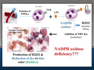 3_Flowcytometry_31روعة_Assessment_of_Immune_Functions_2021_2022.pdf