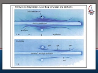 3_Flowcytometry_31روعة_Assessment_of_Immune_Functions_2021_2022.pdf