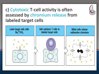 3_Flowcytometry_31روعة_Assessment_of_Immune_Functions_2021_2022.pdf