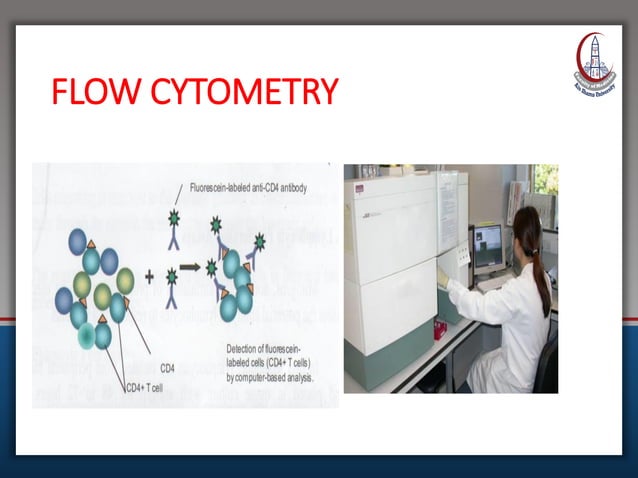 3_Flowcytometry_31روعة_Assessment_of_Immune_Functions_2021_2022.pdf