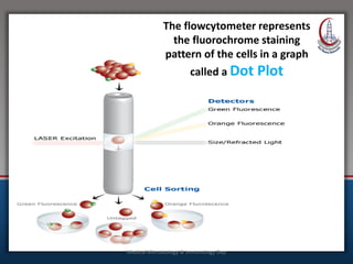 3_Flowcytometry_31روعة_Assessment_of_Immune_Functions_2021_2022.pdf