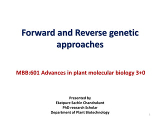 Forward and reverse genetics | PPTX