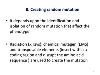 Forward and reverse genetics | PPTX | Genetics | Science