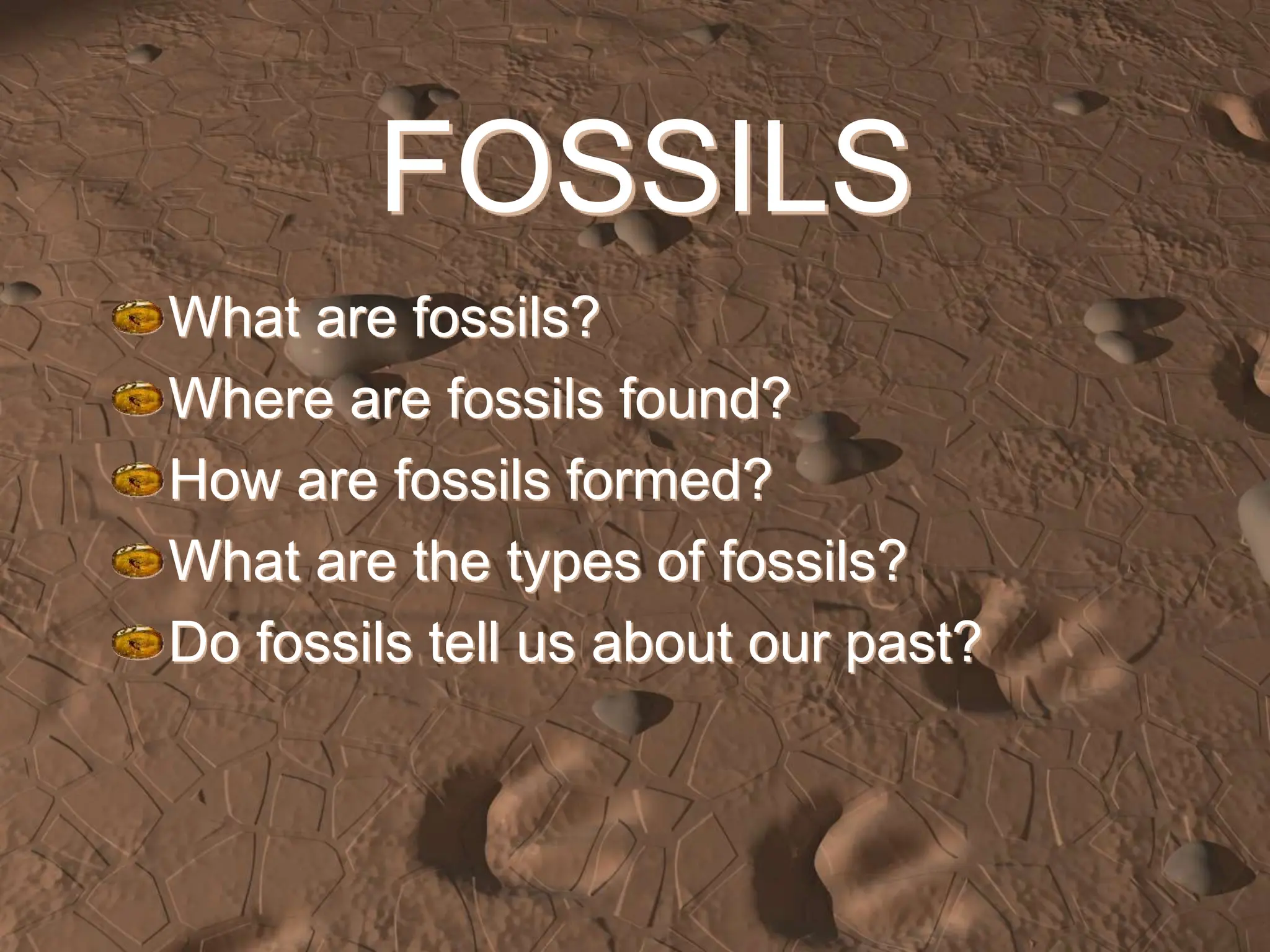 3 Fossils PowerPoint.ppt