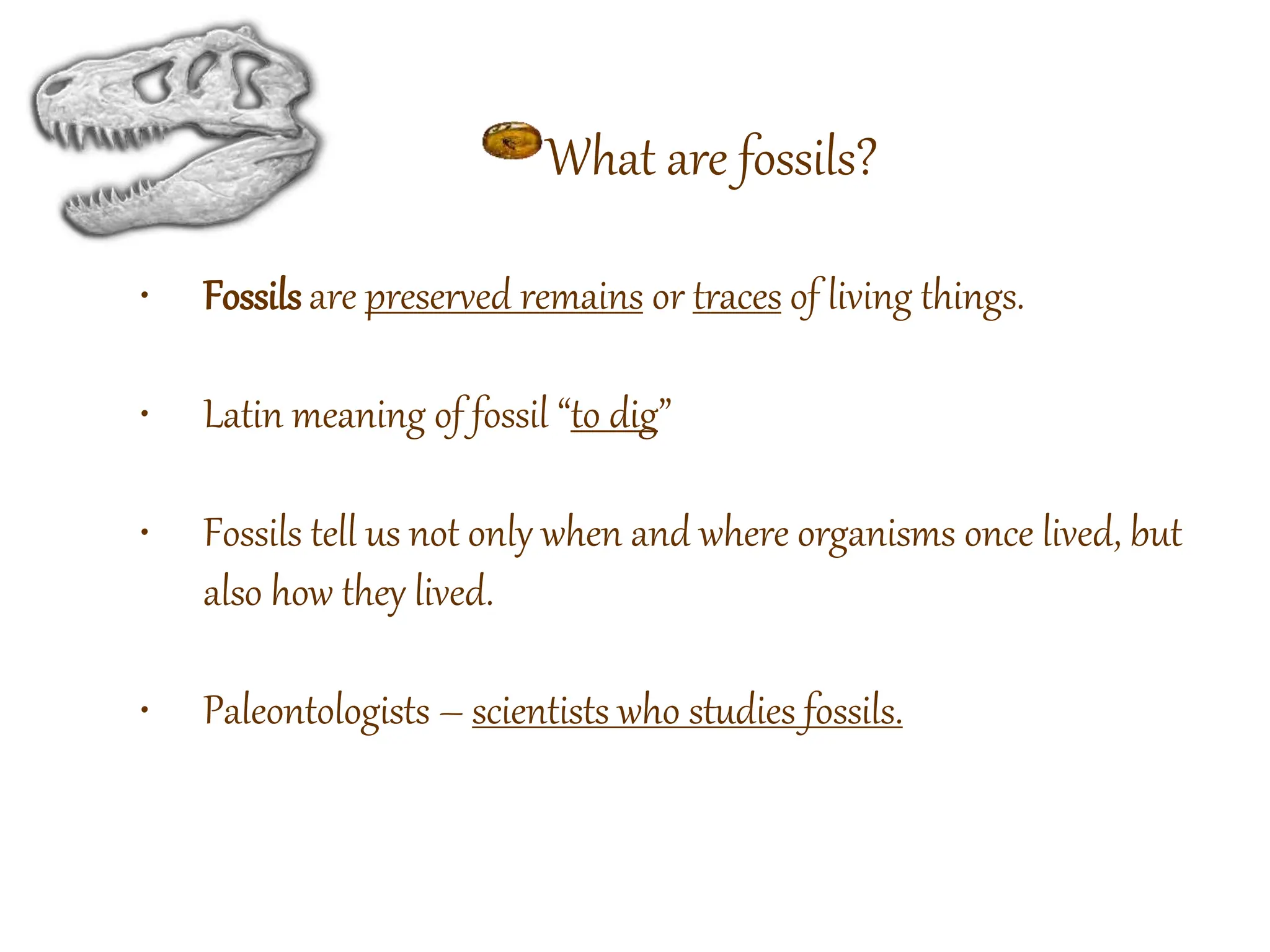 3 Fossils PowerPoint.ppt