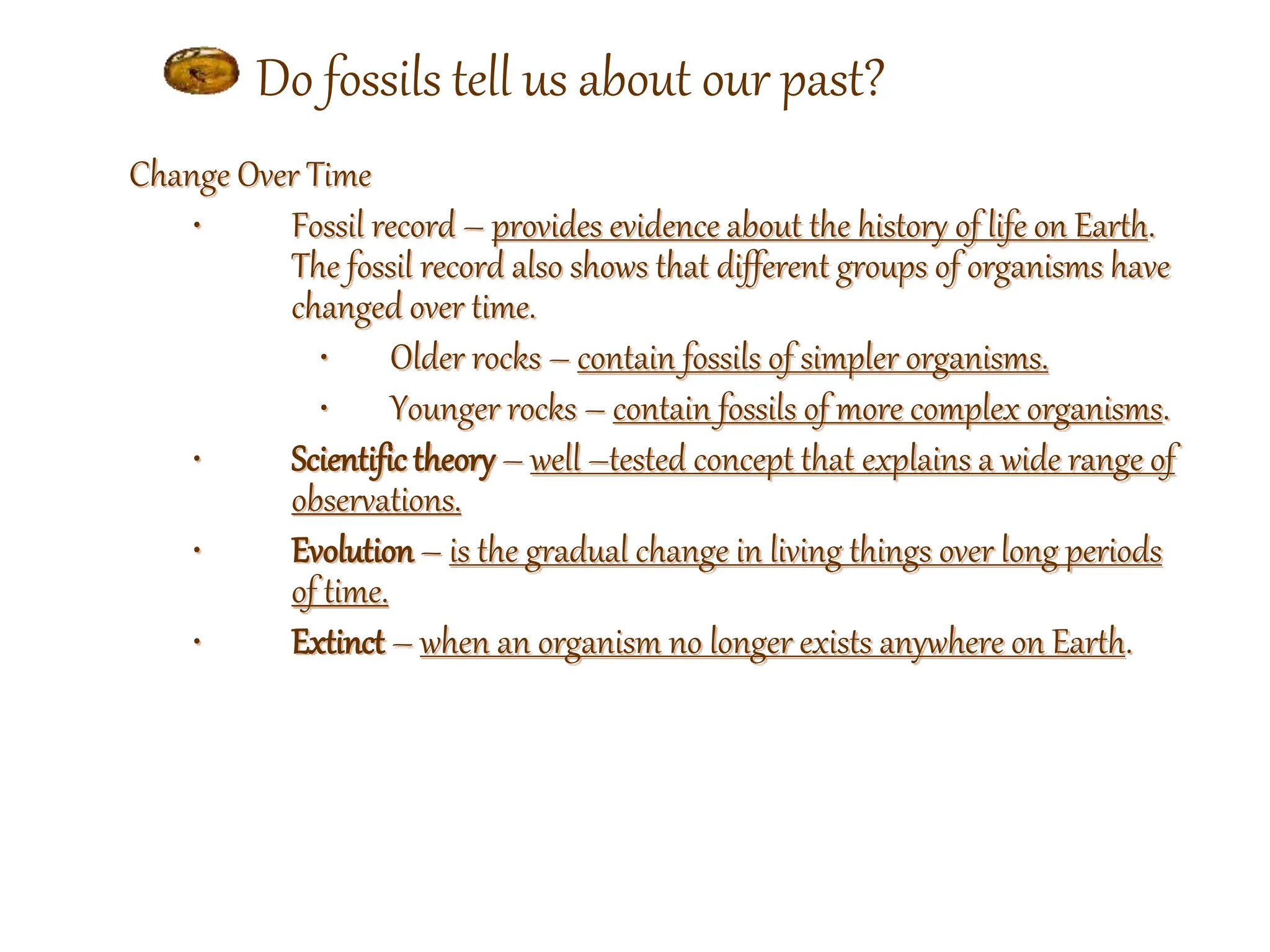 3 Fossils PowerPoint.ppt