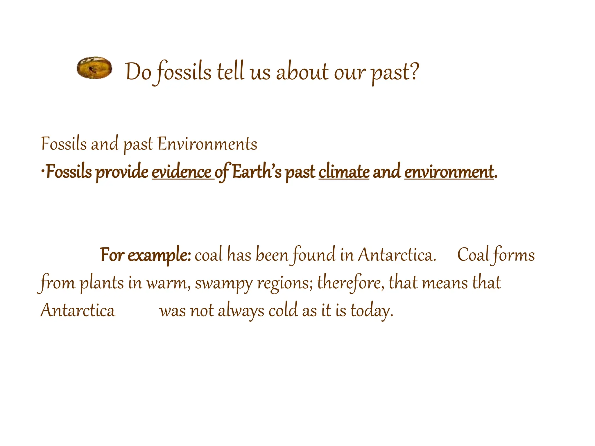 3 Fossils PowerPoint.ppt