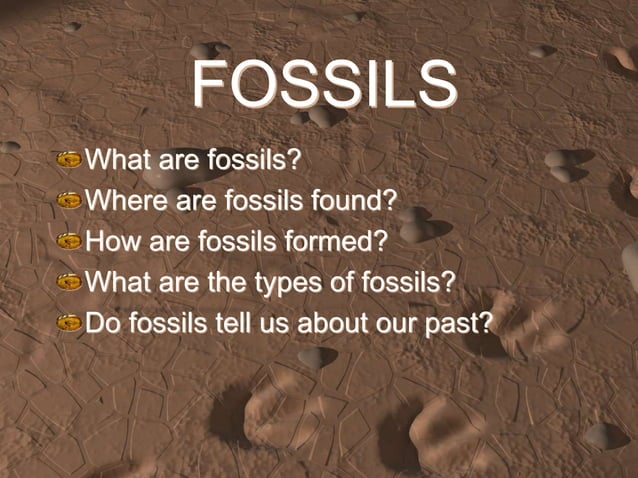 3 Fossils PowerPoint.ppt