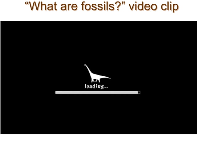 3 Fossils PowerPoint.ppt