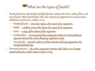 3 Fossils PowerPoint.ppt