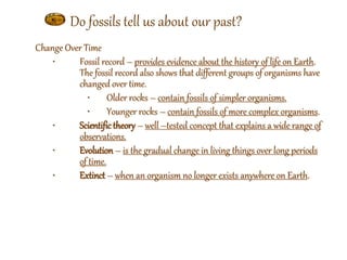 3 Fossils PowerPoint.ppt