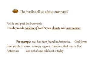 3 Fossils PowerPoint.ppt