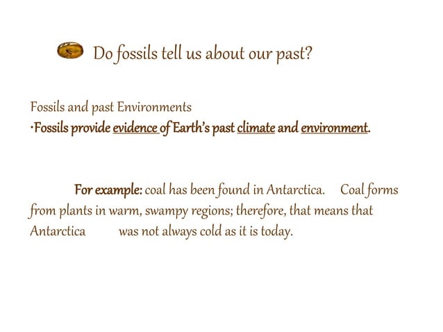3 Fossils PowerPoint.ppt