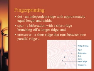 Fingerprints | PPT