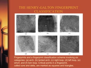 Fingerprints | PPT