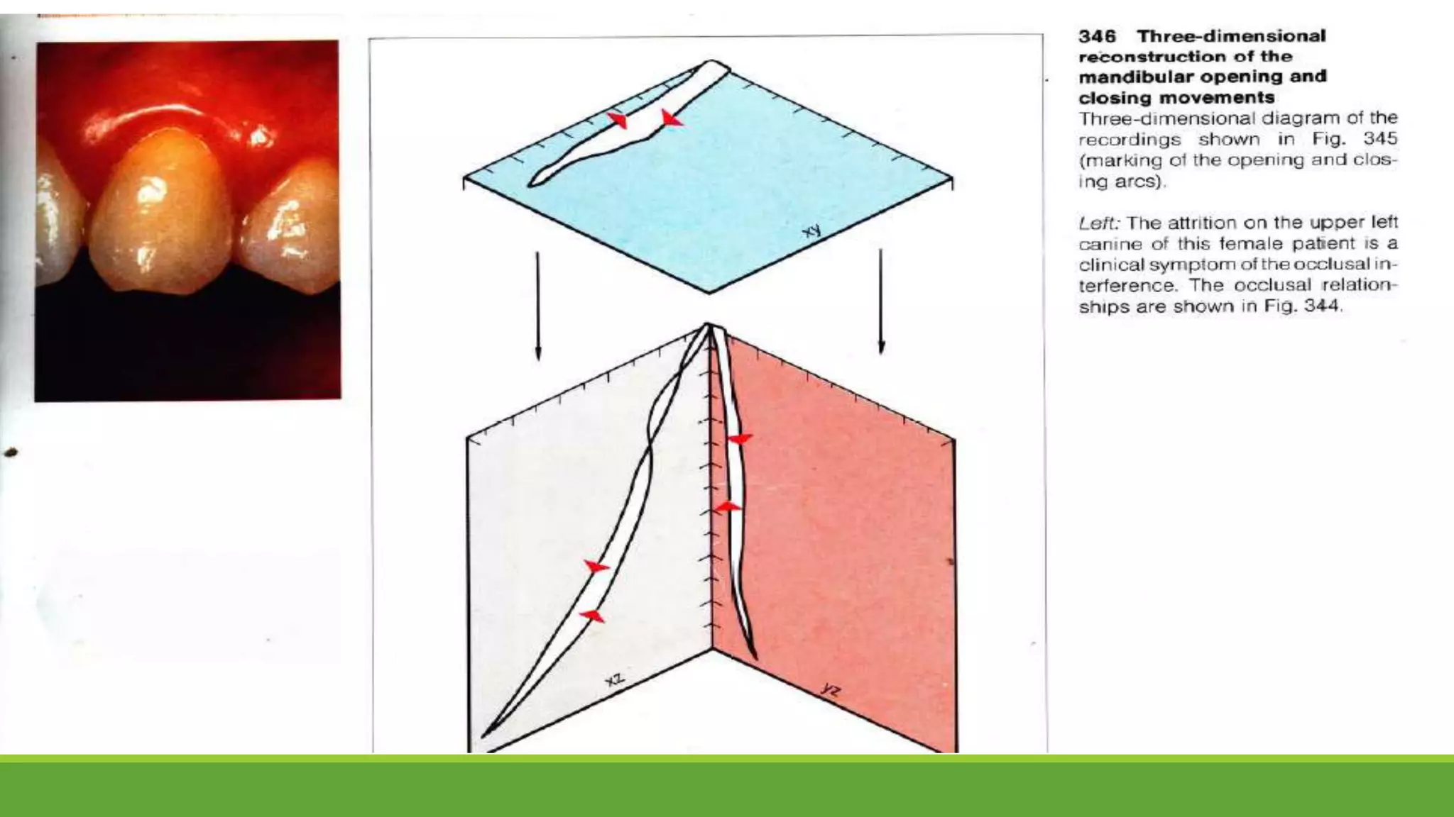 functional examination | PPTX
