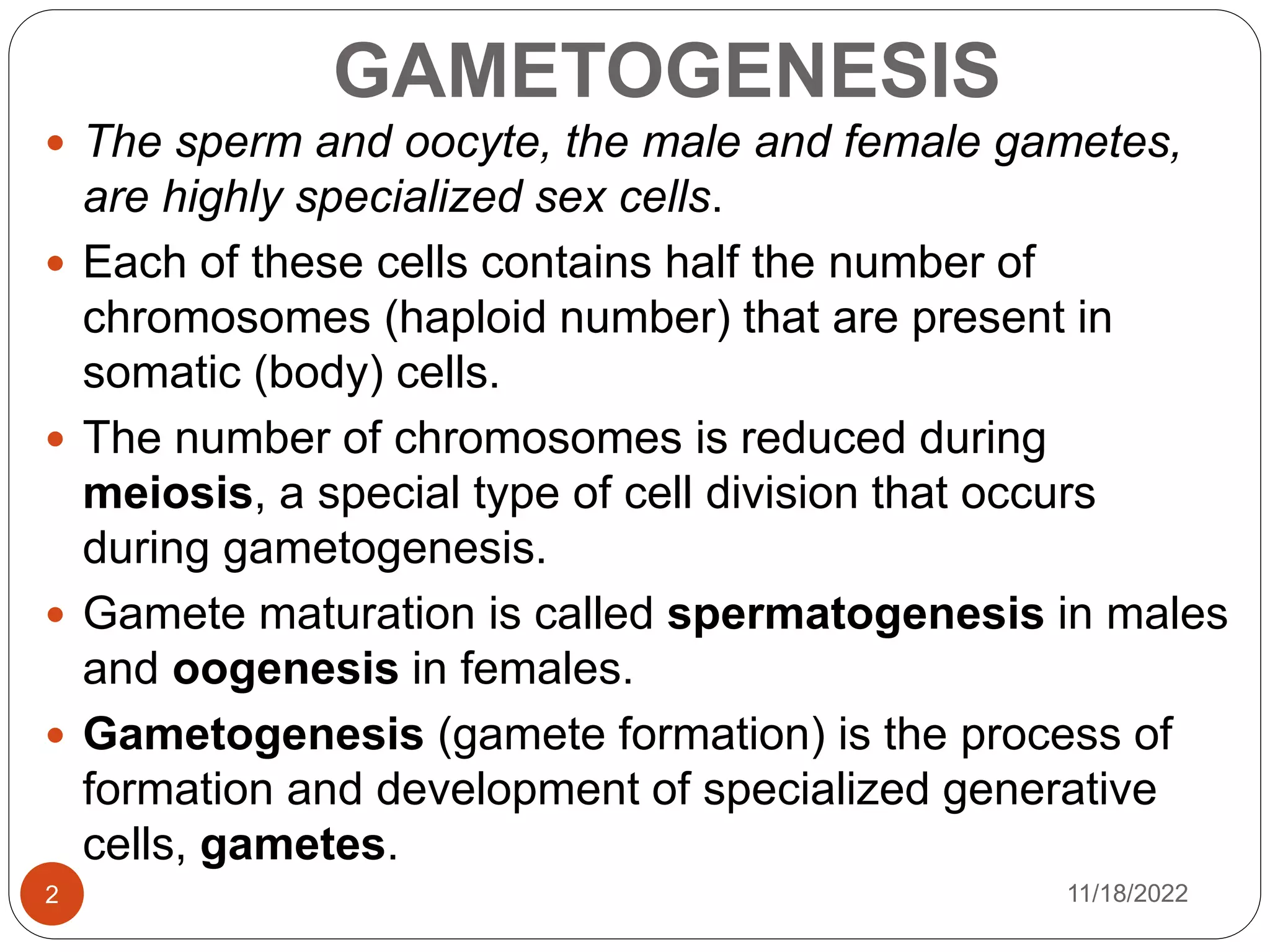 3_GAMETOGENESIS,_FERTILIZATION,[1].pptx