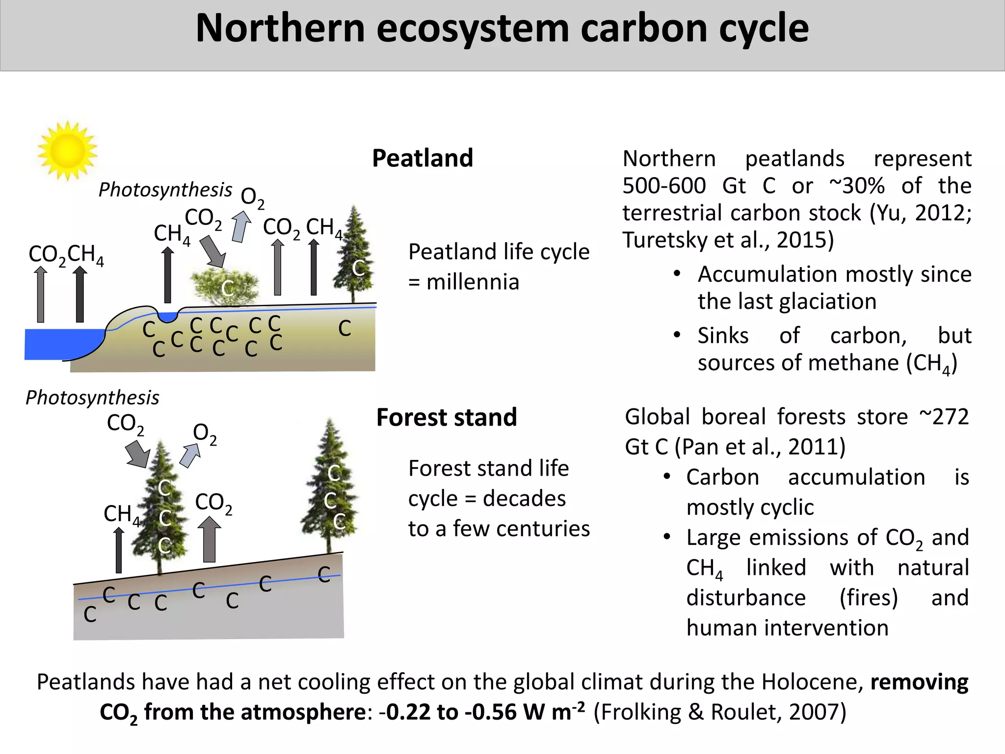 Quantifying terrestrial ecosystem carbon stocks for future GHG ...