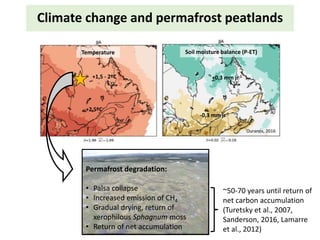 Quantifying terrestrial ecosystem carbon stocks for future GHG ...
