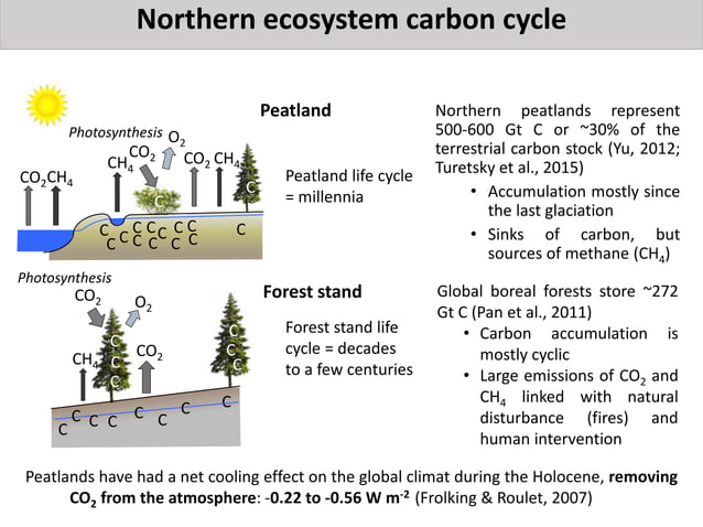 Quantifying Terrestrial Ecosystem Carbon Stocks For Future Ghg Mitigation Sustainable Land Use