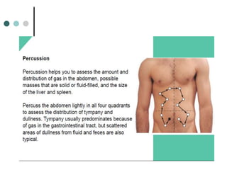 ASSESSMENT OF THE ABDOMEN, INSPECTION, AUSCULTATION, PERCUSSION ...
