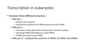 3 Gene expression.pdf