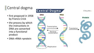 3 Gene expression.pdf