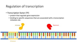 3 Gene expression.pdf