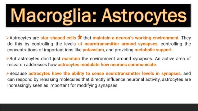 Glia Cells.pdf