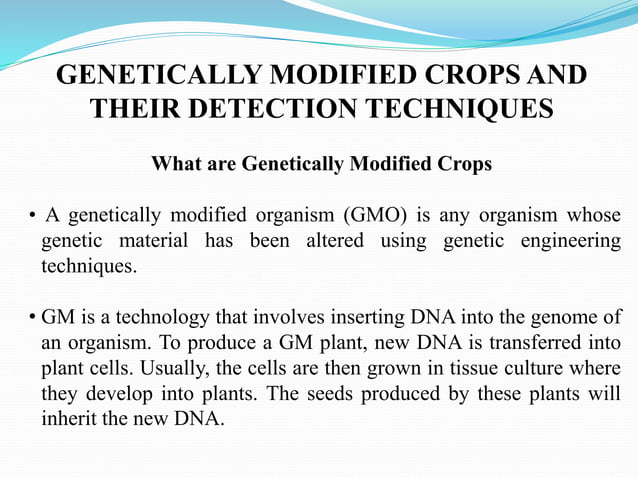 Genetically modified seeds and their detection techniques. | PPTX ...