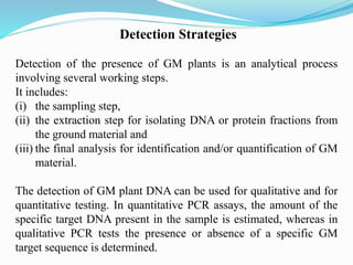 Genetically modified seeds and their detection techniques. | PPTX
