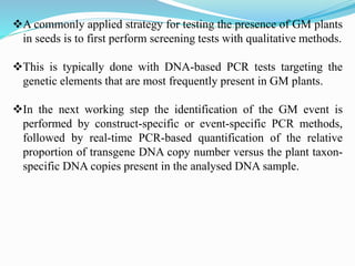 Genetically modified seeds and their detection techniques. | PPTX