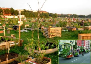 Goodbye Ground! (BERLIN AGRICULTURAL URBAN SITES: Tempelhofer Feld ...
