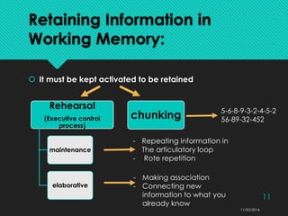 Information processing model | PPTX