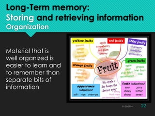 Information processing model | PPTX