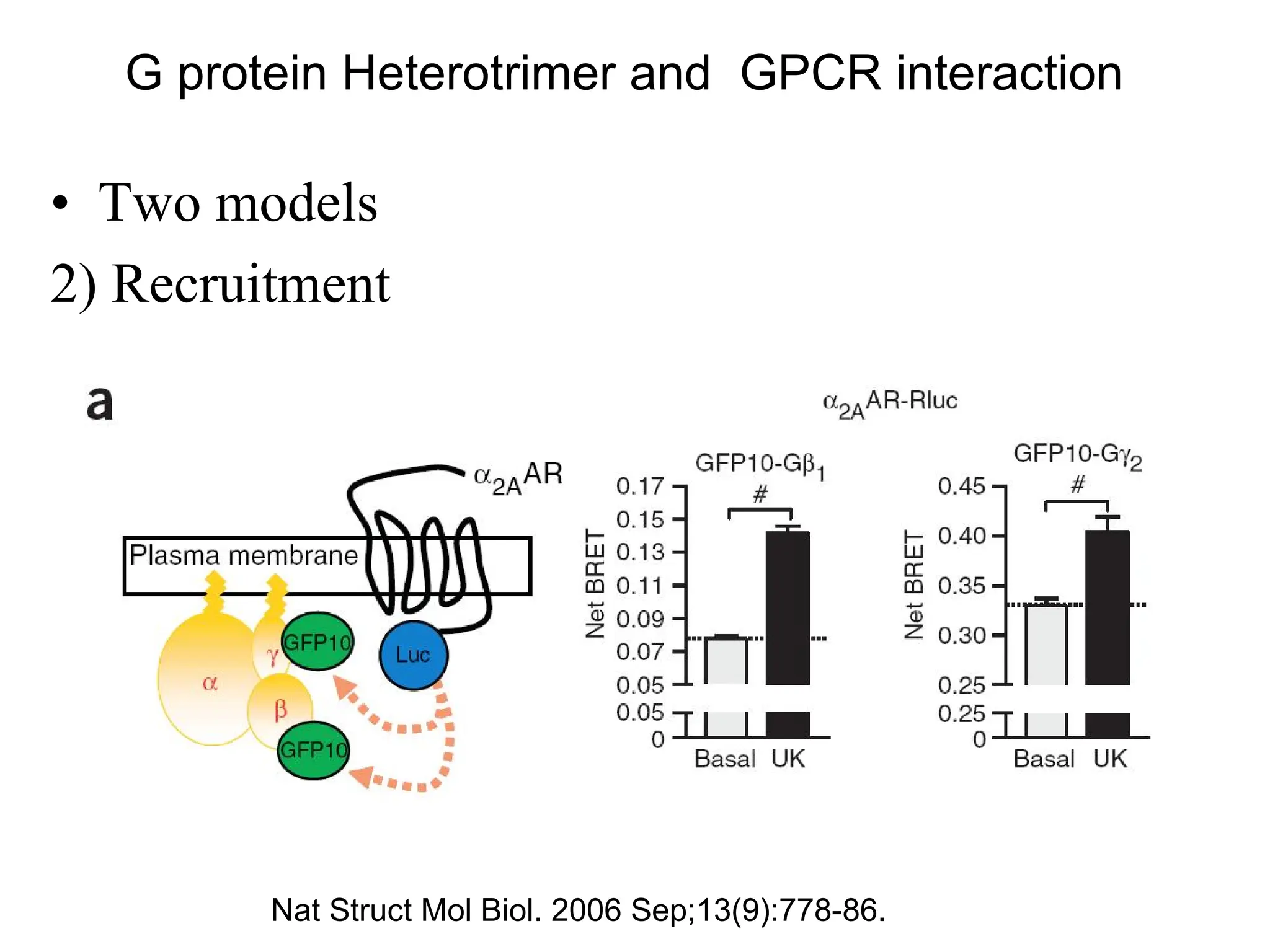 3 GPCR signaling.pdfG-coupled receptors play a significant role in cell ...