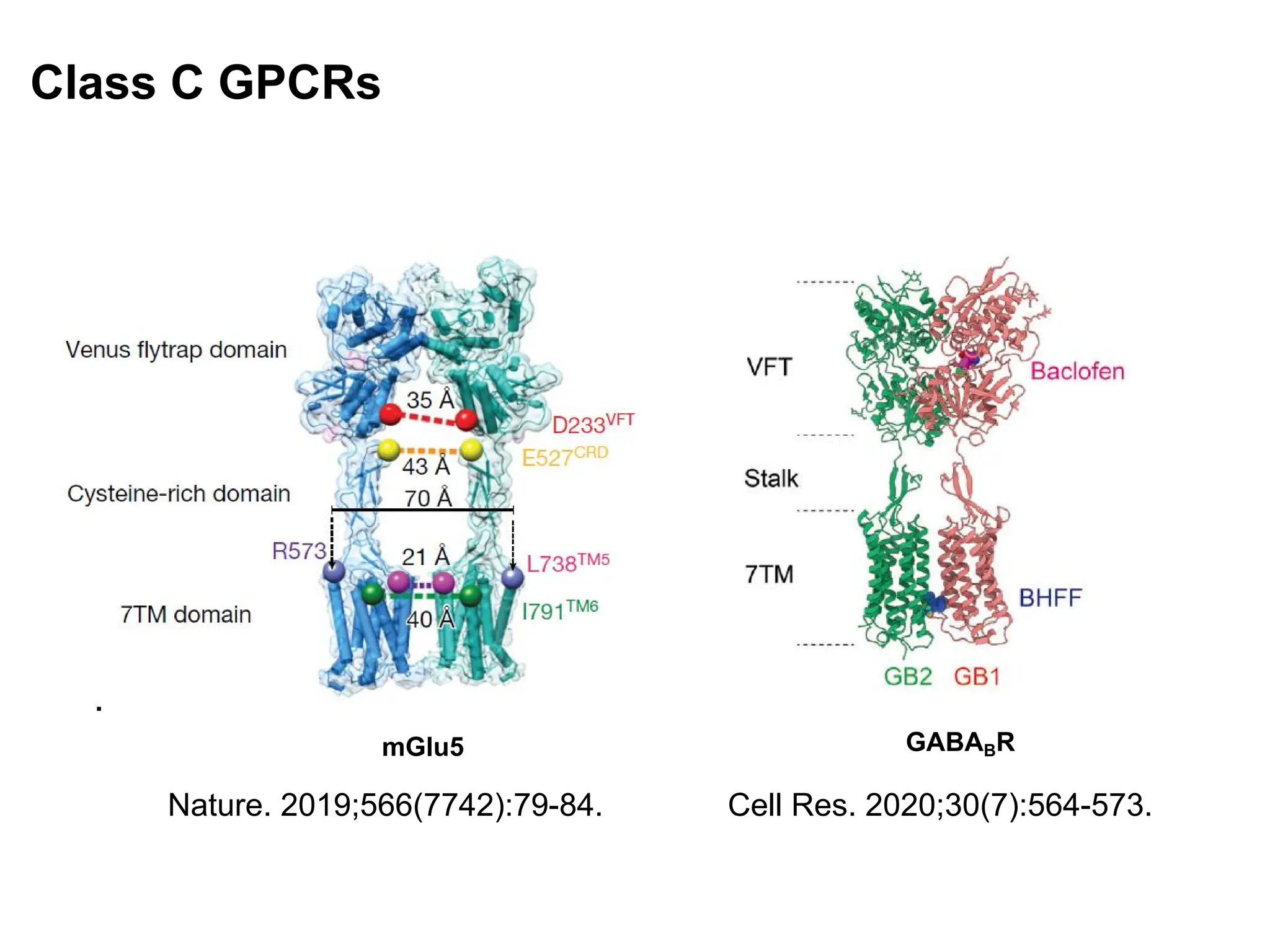 3 GPCR signaling.pdfG-coupled receptors play a significant role in cell ...