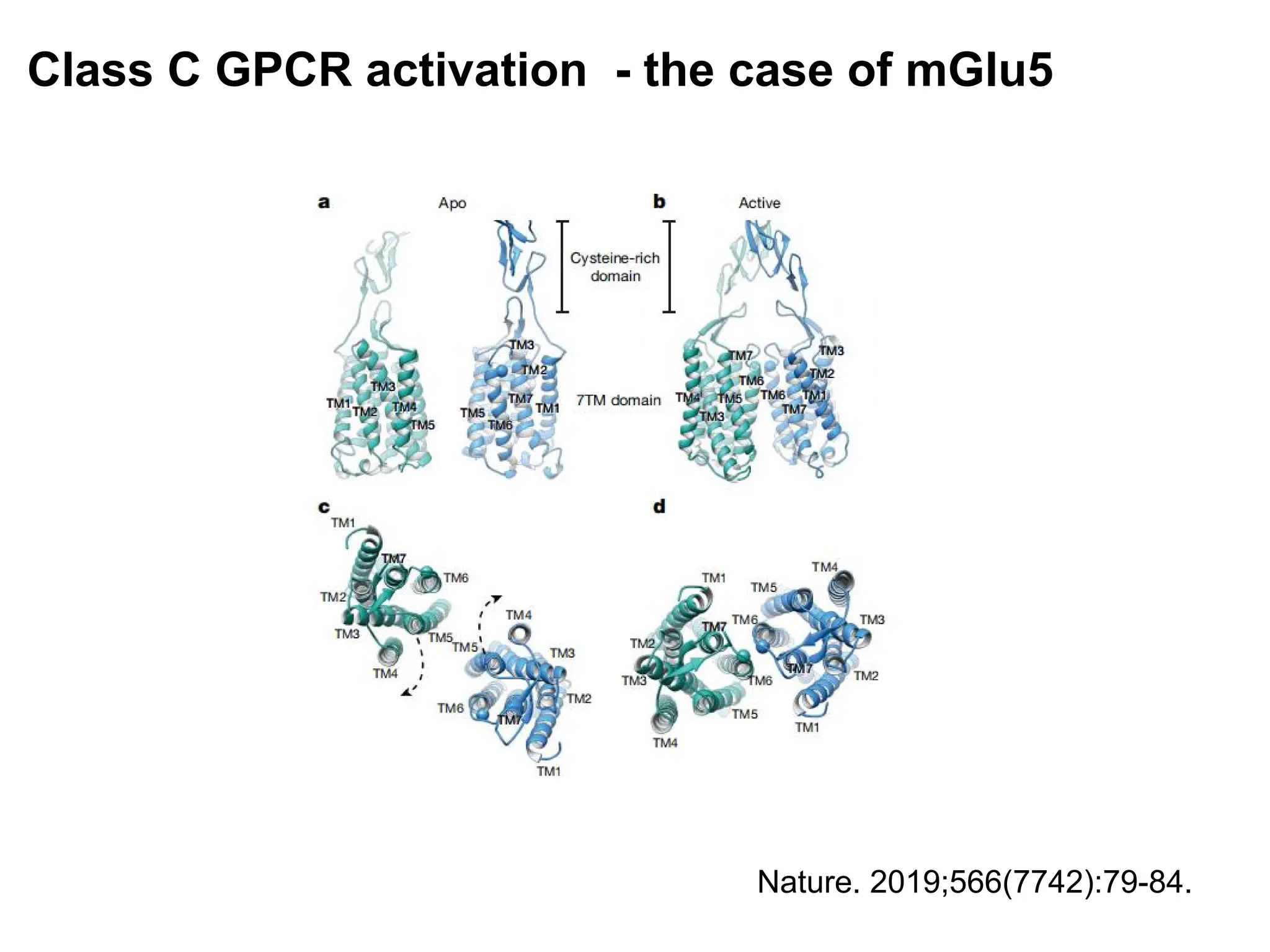 3 GPCR signaling.pdfG-coupled receptors play a significant role in cell ...